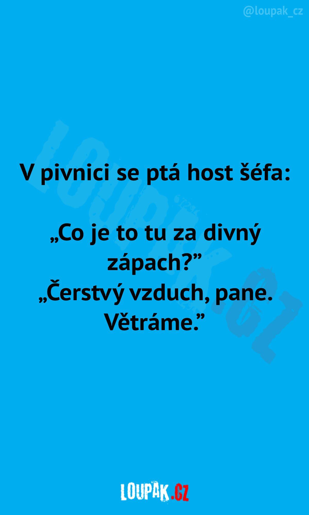Divný zápach v pivnici | Loupak.cz