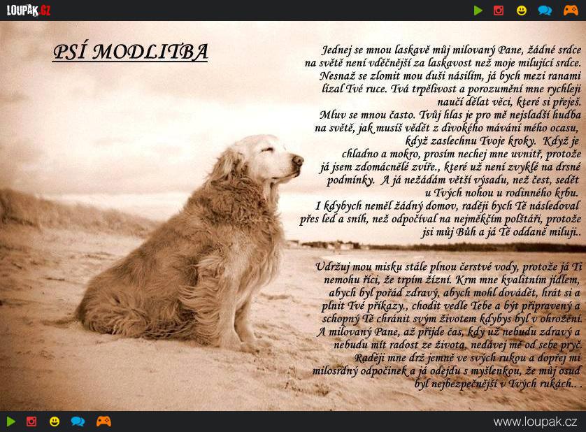 Psí modlitba | Loupak.cz
