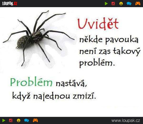 Pavouk | Loupak.cz
