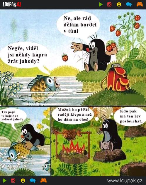 Krteček | Loupak.cz
