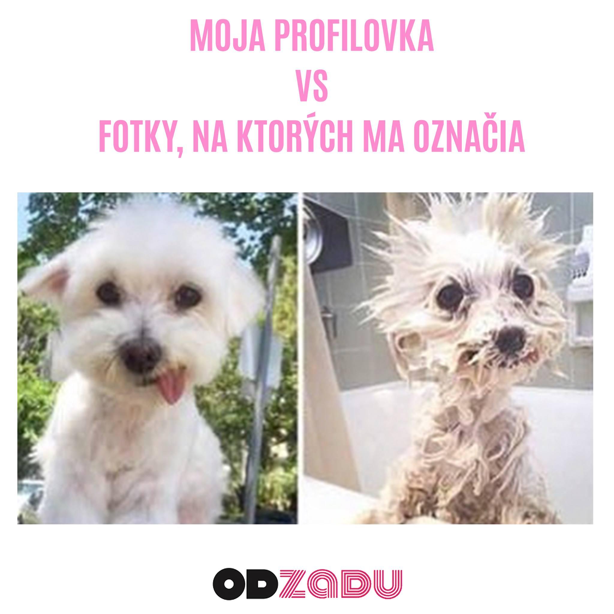 Profilovka | Loupak.cz