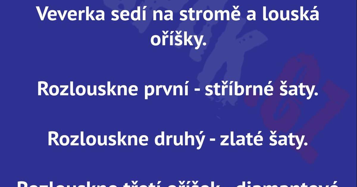Veverka louská oříšky | Loupak.cz