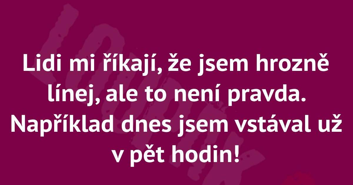 Není pravda, že jsem línej | Loupak.cz