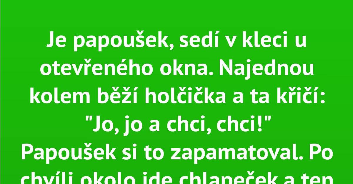 Papoušek si chytře zapamatoval fráze | Loupak.cz
