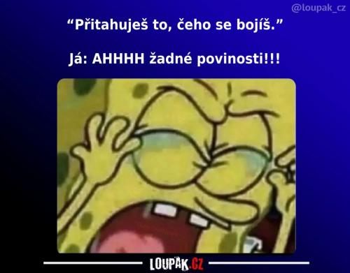 Obrázky | Loupak.cz