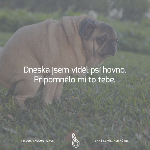 Hledat - hovno | Loupak.cz